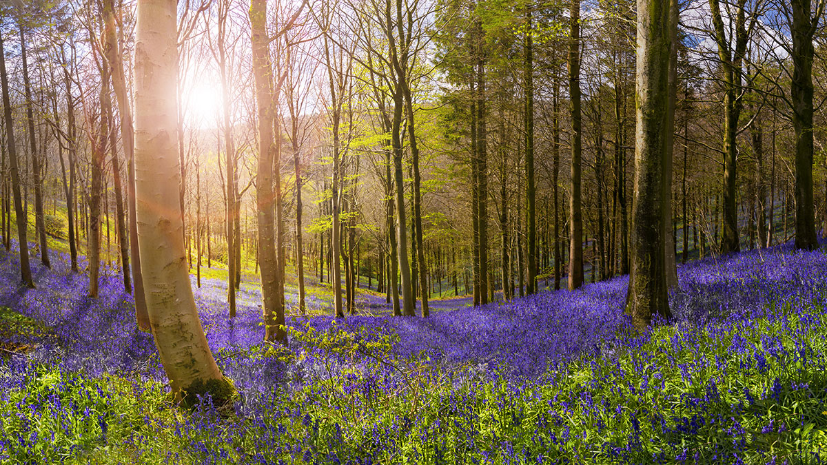 Pub near Heaven Farm, East Sussex - The Piltdown Man