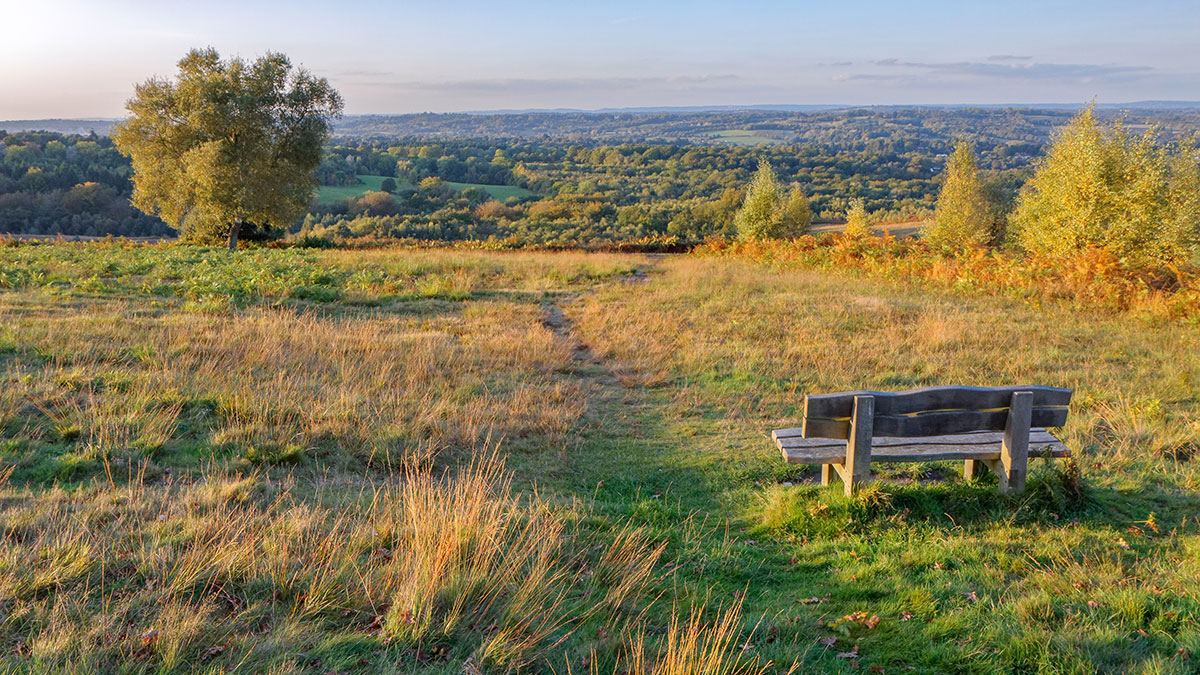 Local Walks near The Piltdown Man Pub, East Sussex